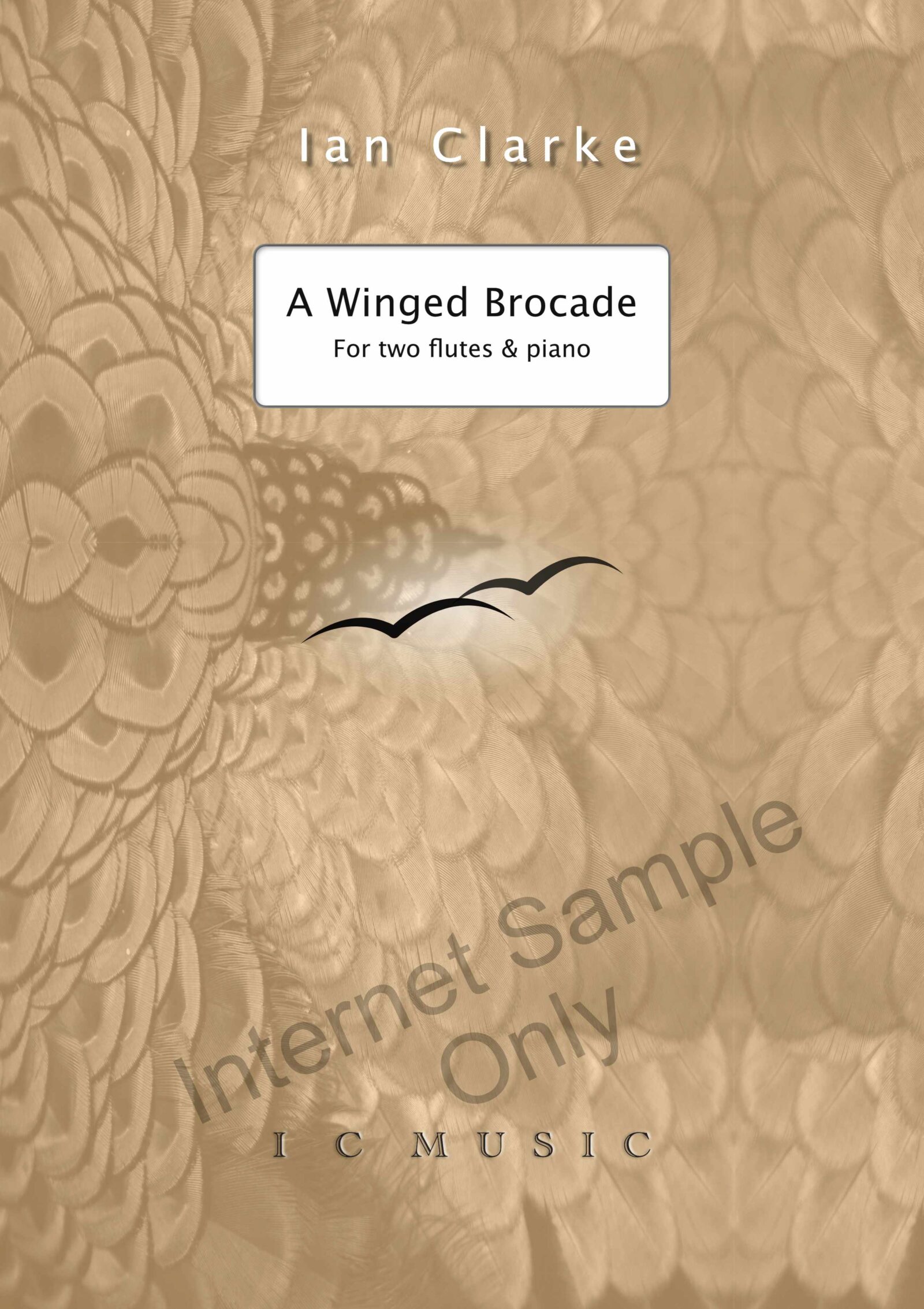 A Winged Brocade – Ian Clarke flautist/composer